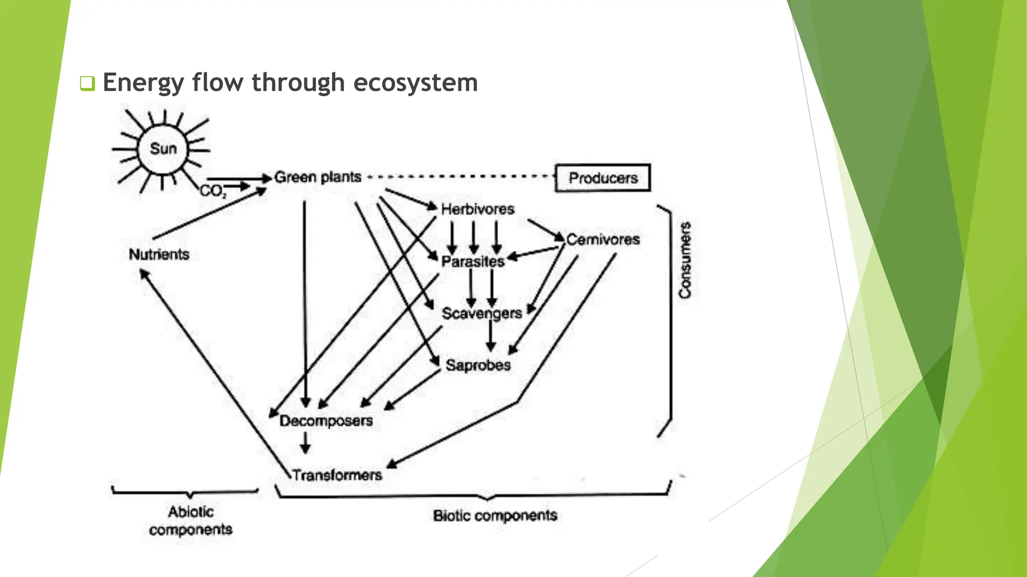 Ecology and types of ecosystem, factors and energy flowpptx | PPT