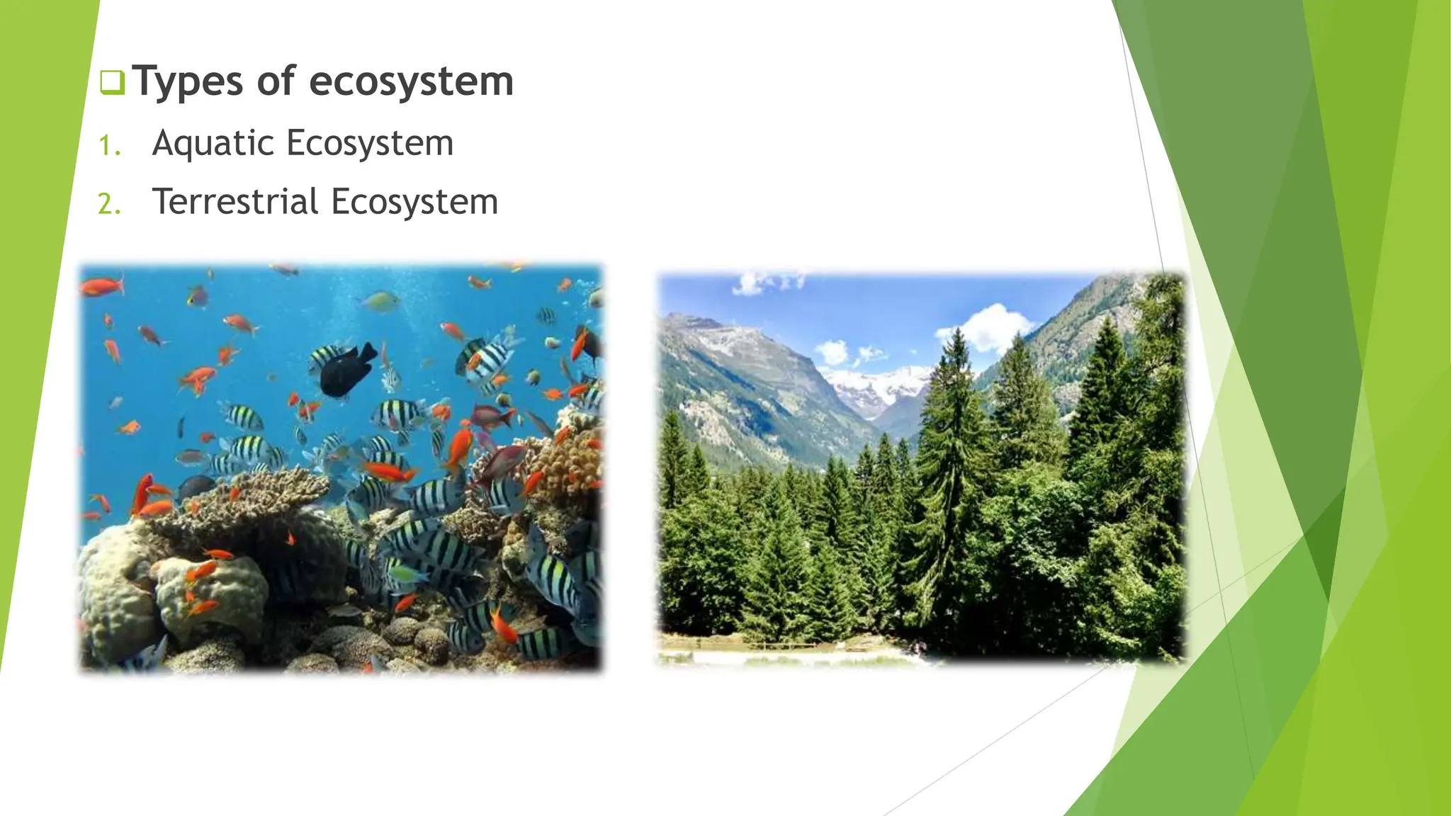Ecology and types of ecosystem, factors and energy flowpptx | PPTX