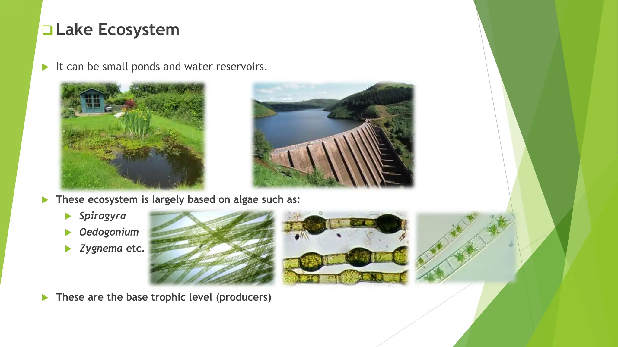 Ecology and types of ecosystem, factors and energy flowpptx | PPT