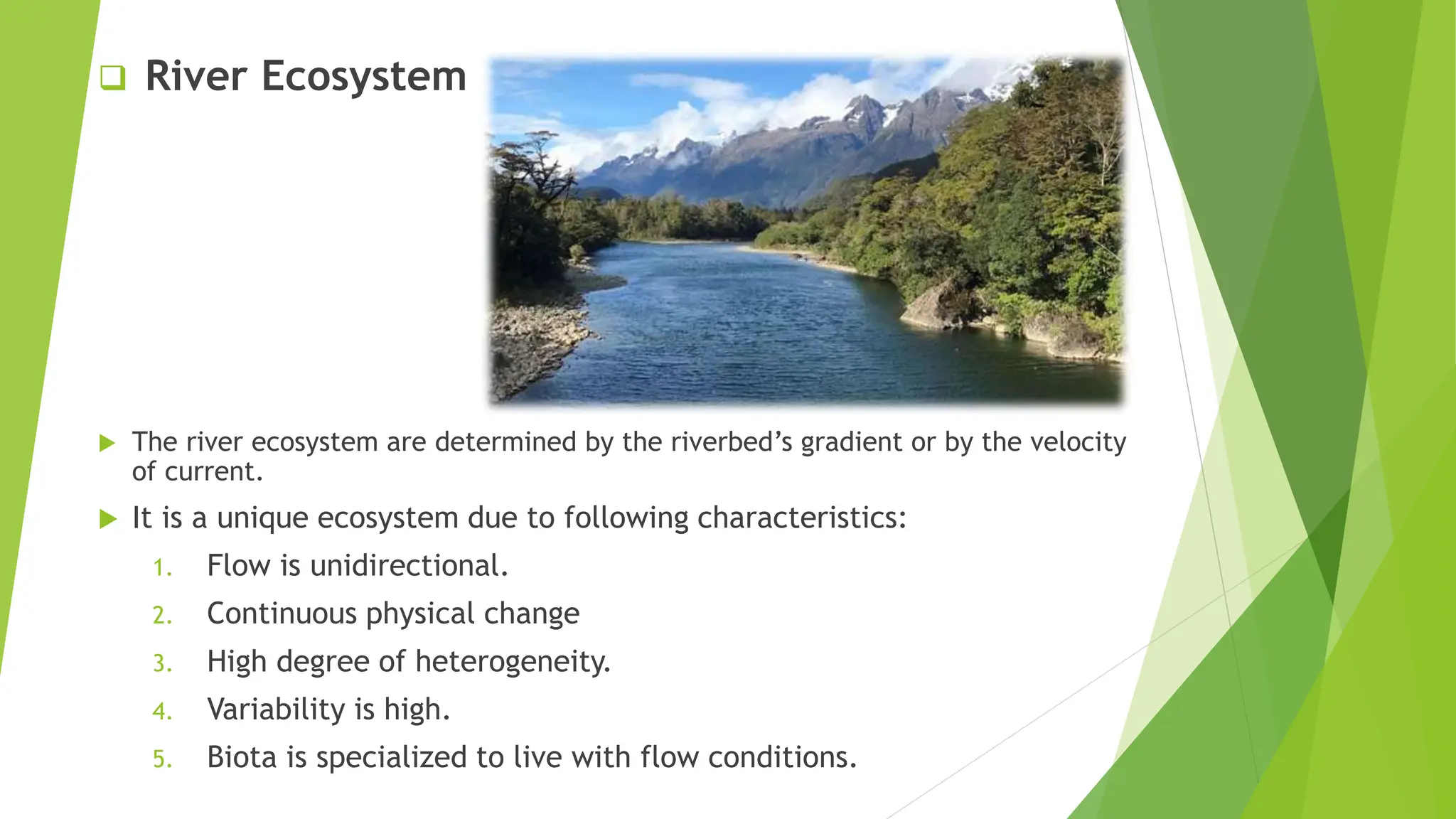 Ecology and types of ecosystem, factors and energy flowpptx | PPT
