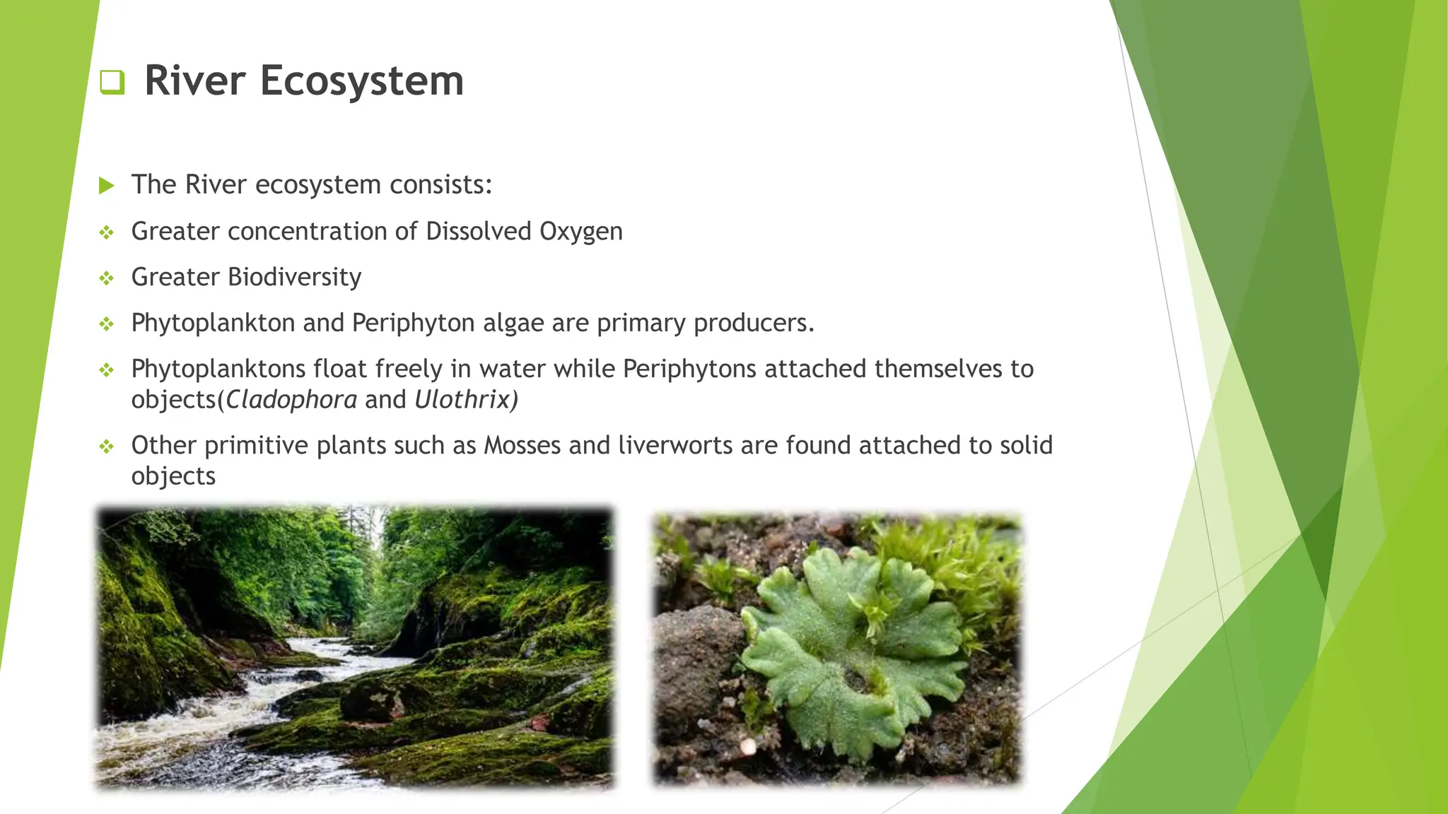 Ecology and types of ecosystem, factors and energy flowpptx | PPTX