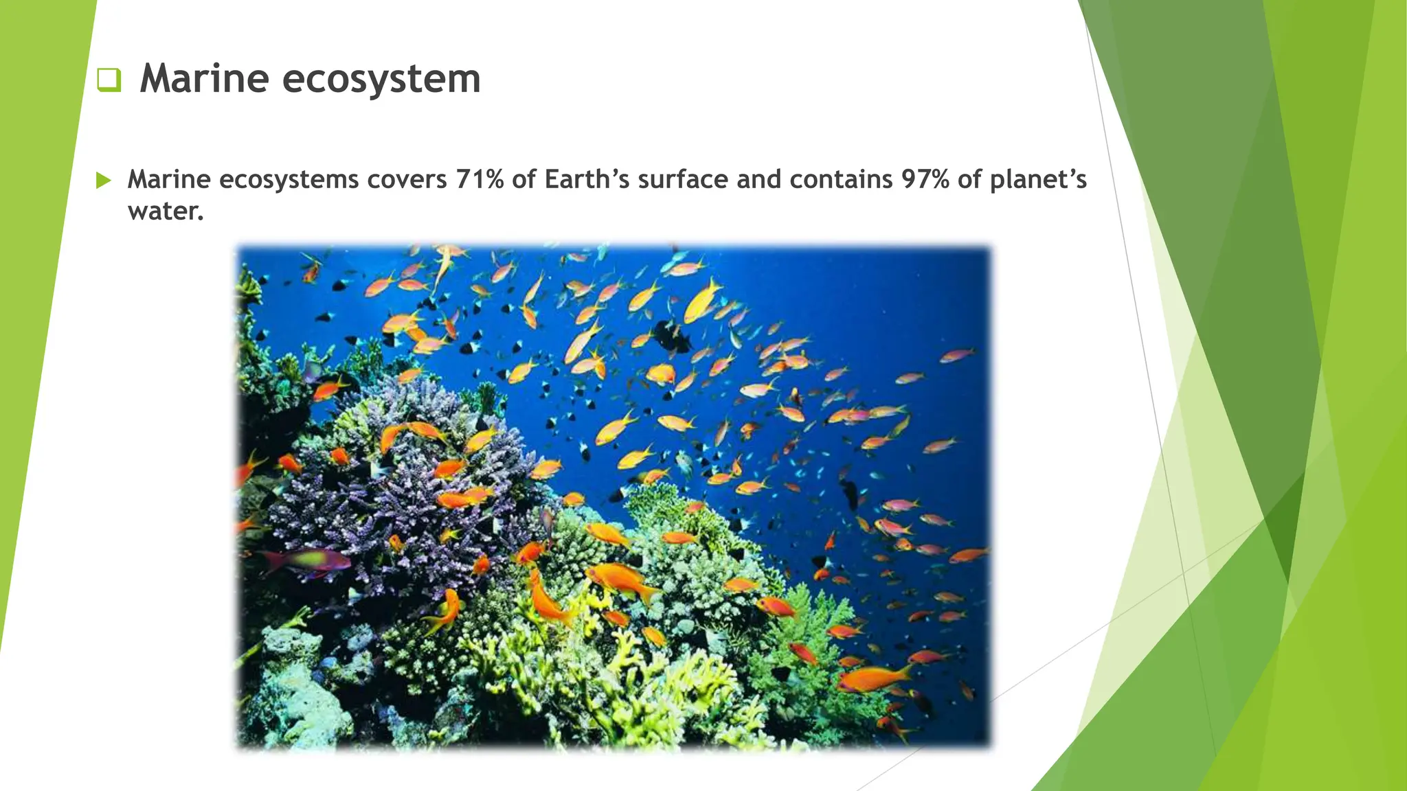 Ecology and types of ecosystem, factors and energy flowpptx | PPT