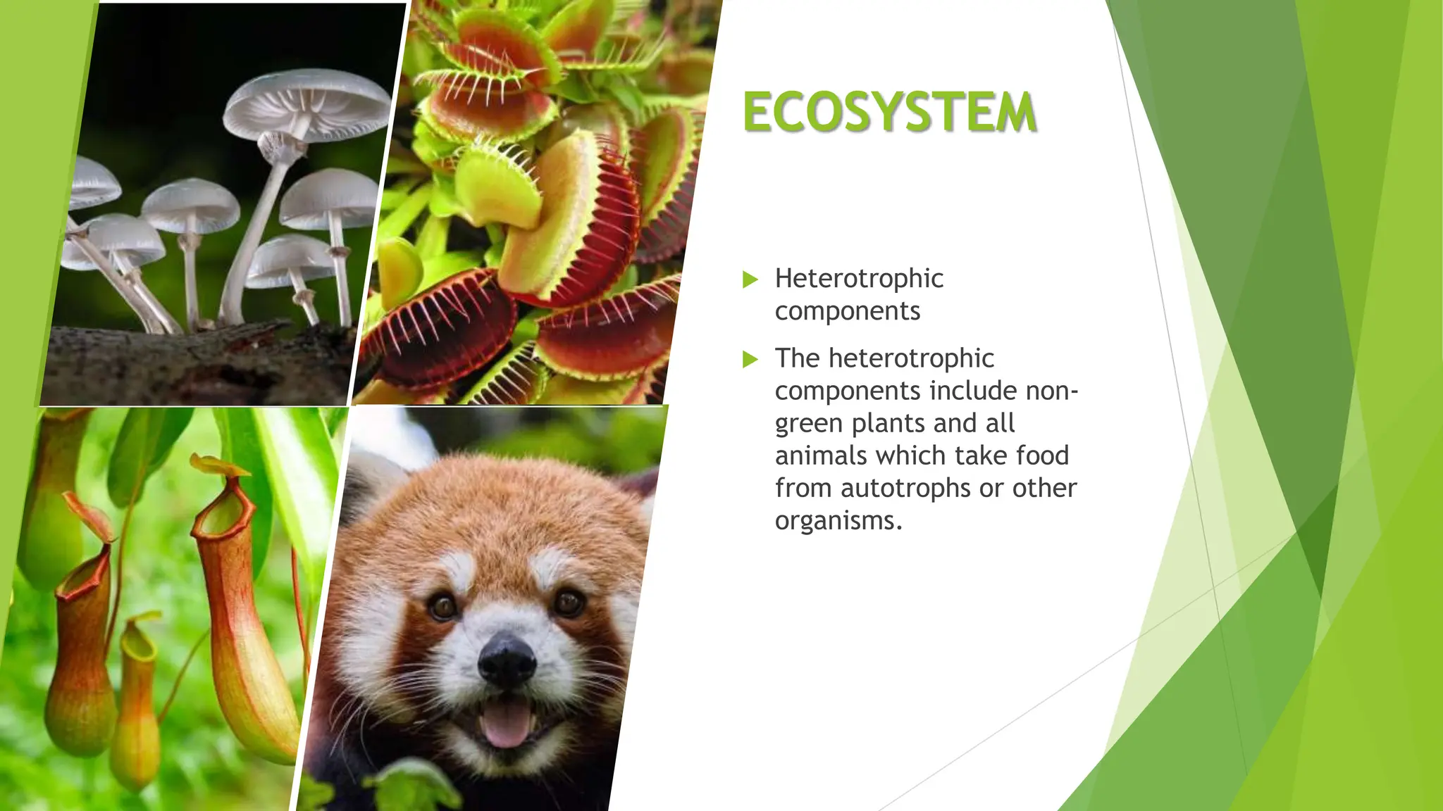 Ecology and types of ecosystem, factors and energy flowpptx | PPTX