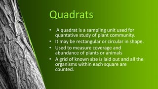 Concept of community and sampling methods | PPTX