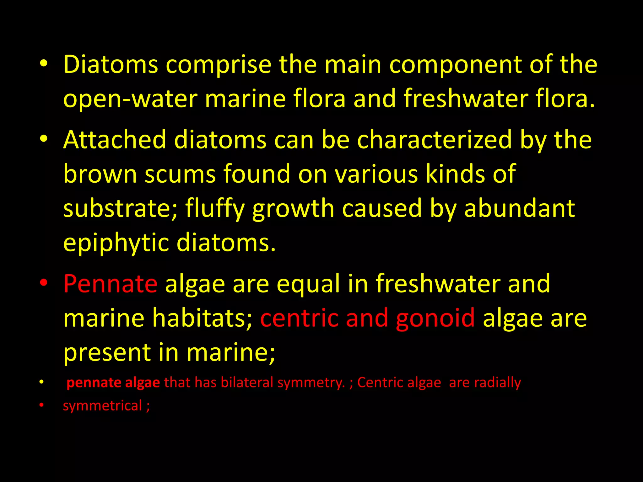 Ecology bacillariophyceae | PPTX