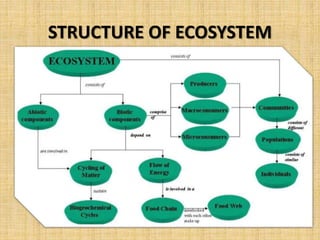 Ecology by syed asim haq | PPT