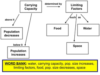 EcologyCarryingCapacityLimitingFactors.ppt