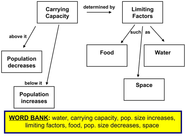 EcologyCarryingCapacityLimitingFactors.ppt