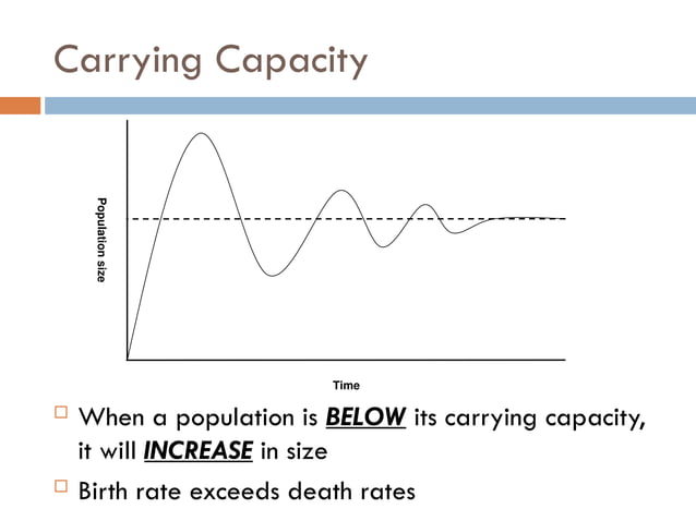EcologyCarryingCapacityLimitingFactors.ppt