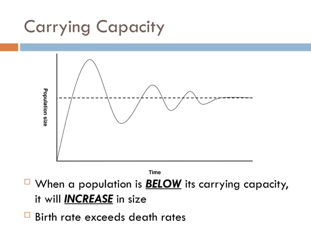 EcologyCarryingCapacityLimitingFactors.ppt