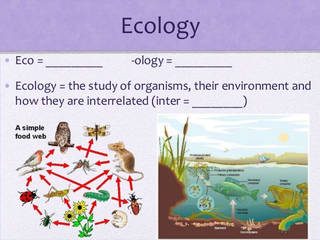 Ecology chapter 3
