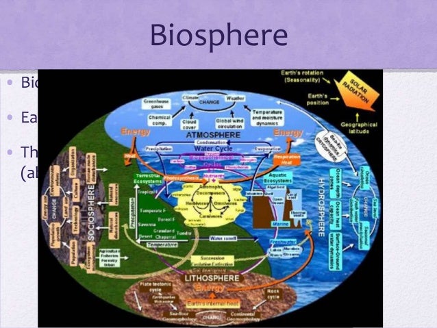 Biosphere Non Examples