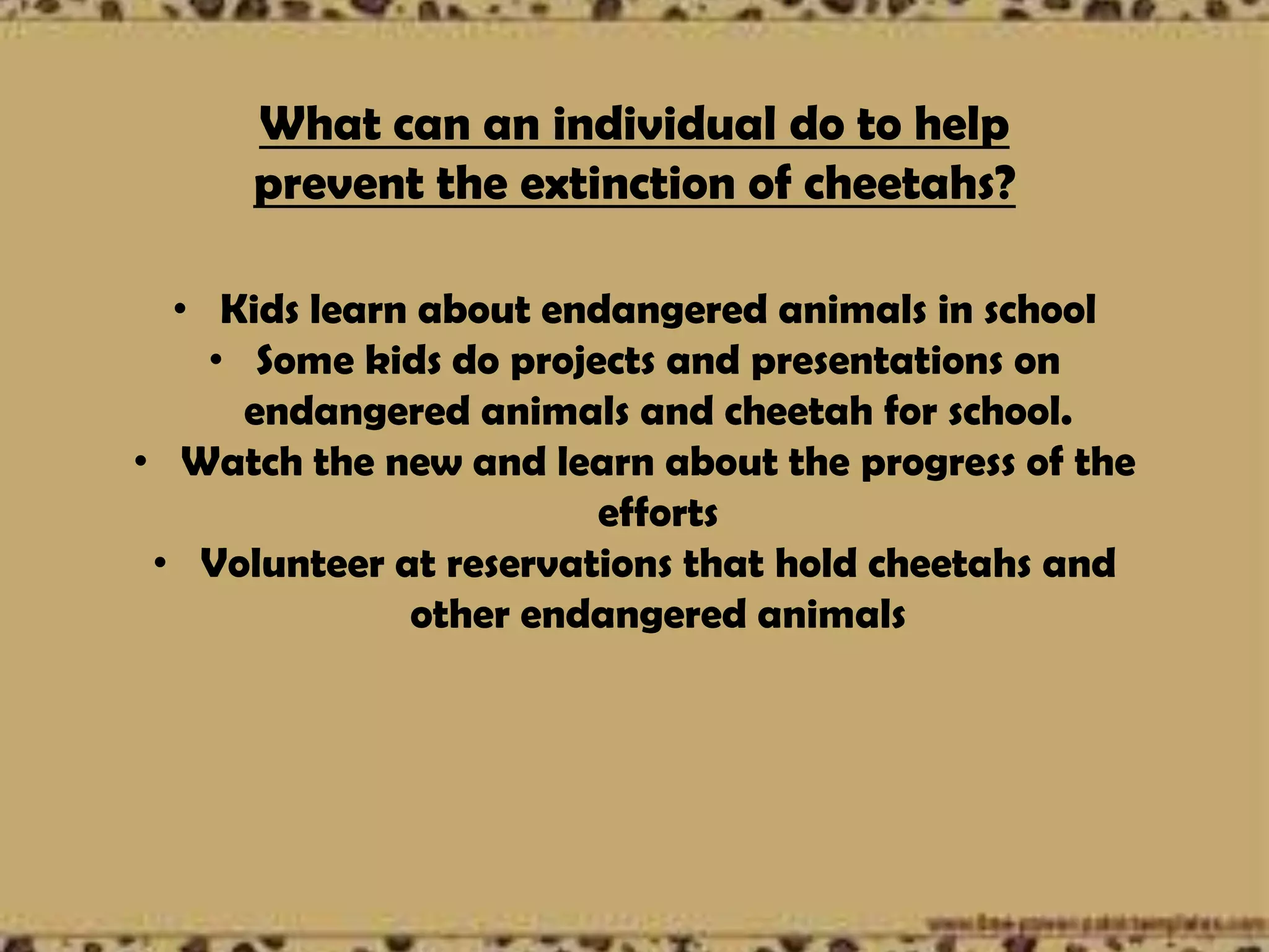 Ecology cheetah powerpoint | PPTX