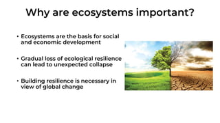 Ecology & conservation powerpoint | PPTX