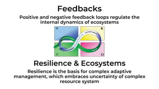 Ecology & conservation powerpoint | PPTX