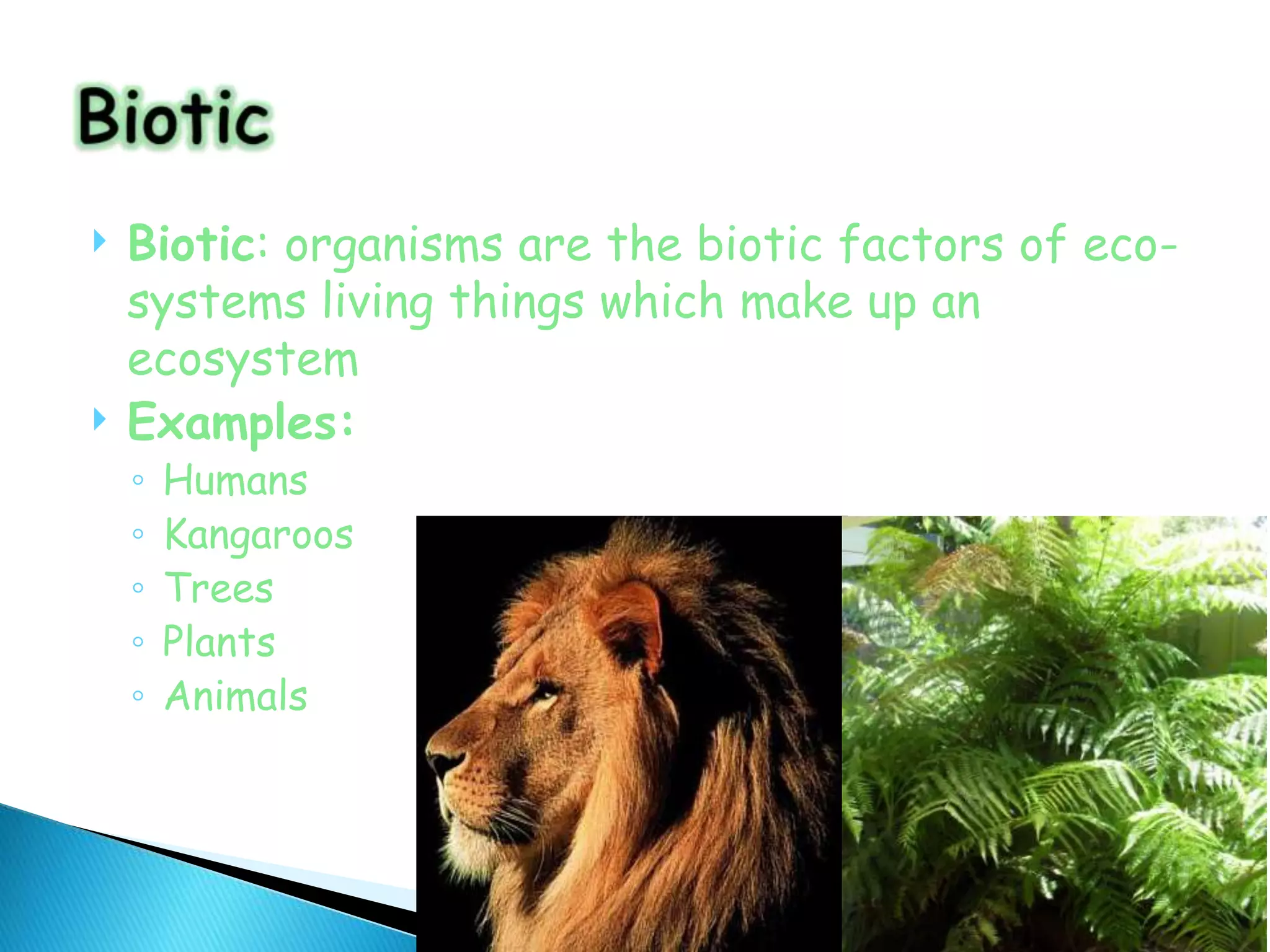 Ecology definitions | PPTX