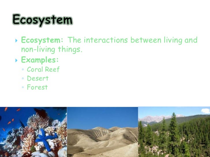 Ecology definitions