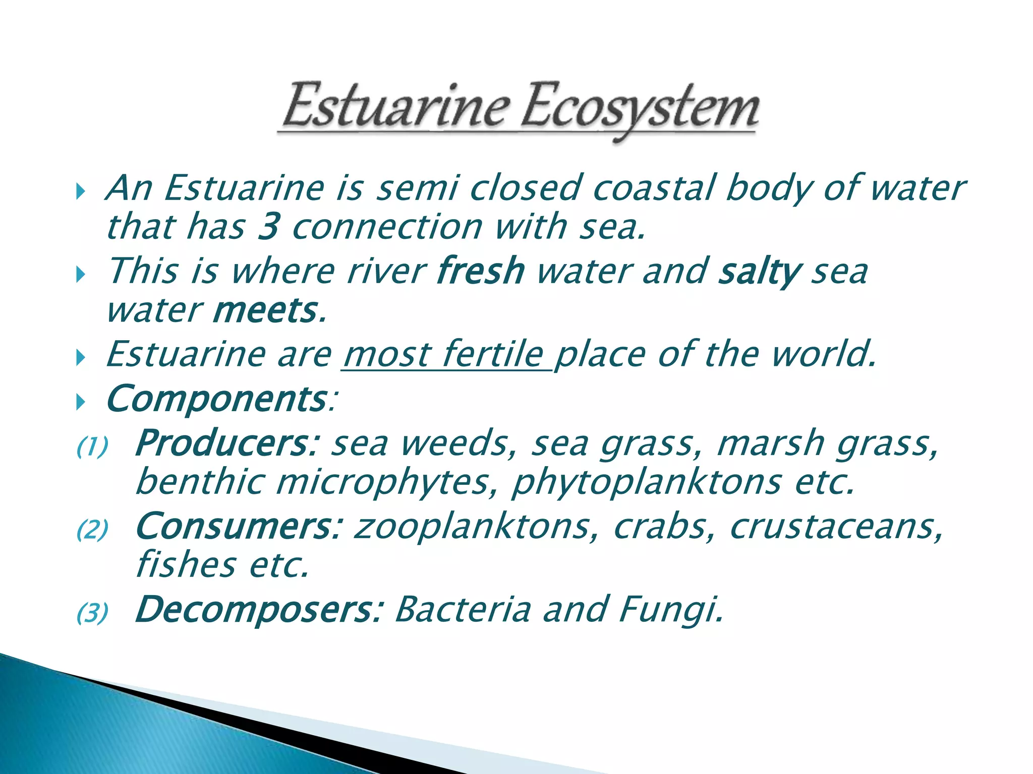 Ecology & Ecosystem | PPTX