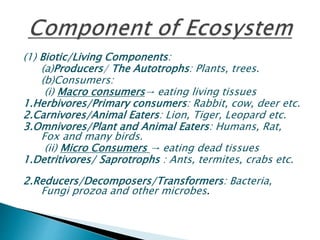 Ecology & Ecosystem | PPTX