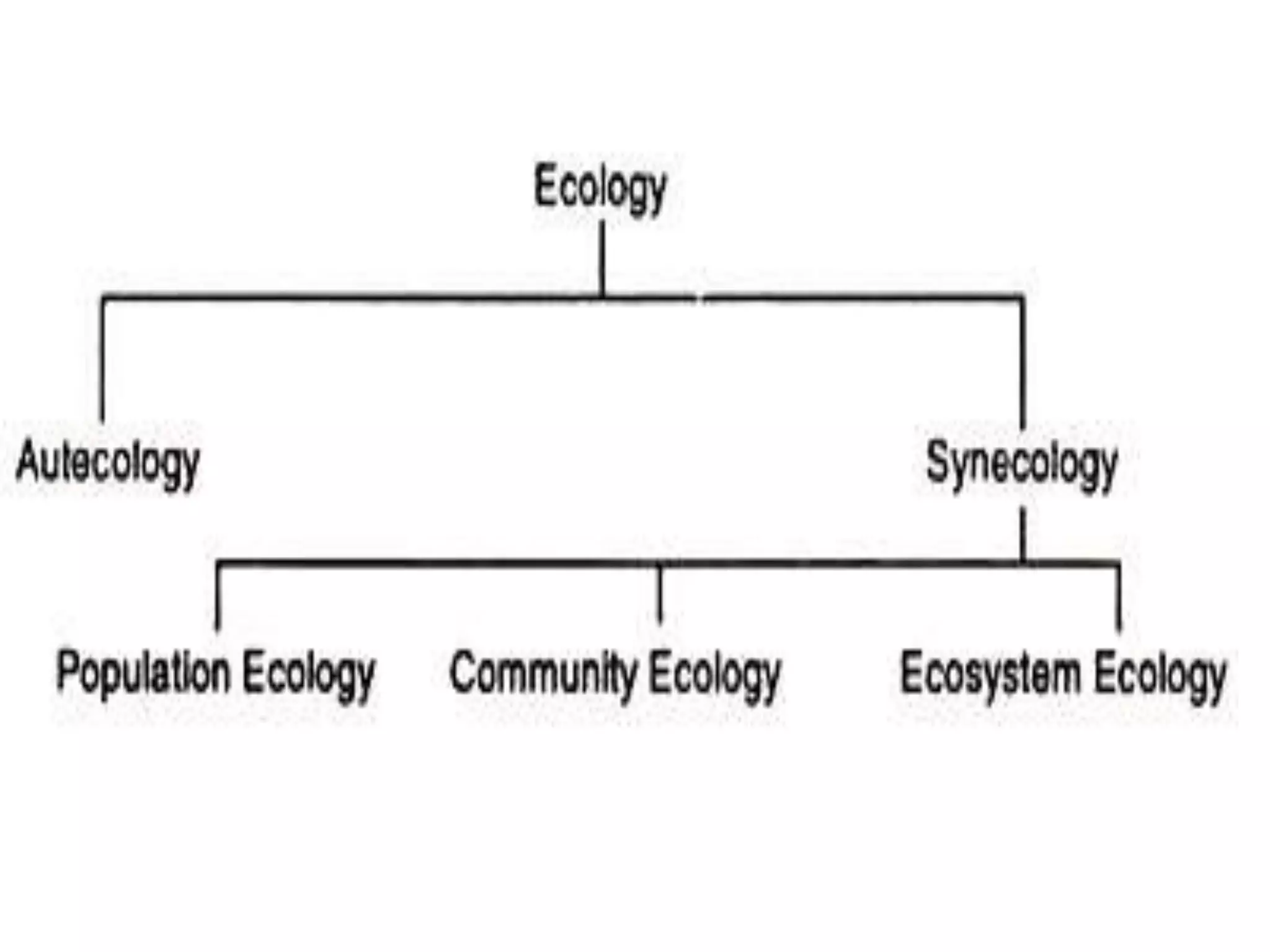 Ecology & Ecosystem | PPTX | Geography | Science