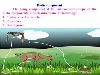 Ecology & Ecosystem | PPTX | Geography | Science