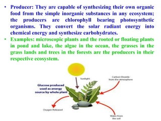 Ecology & Ecosystem | PPTX