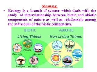 Ecology & Ecosystem | PPTX | Geography | Science