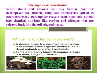 Ecology & Ecosystem | PPT