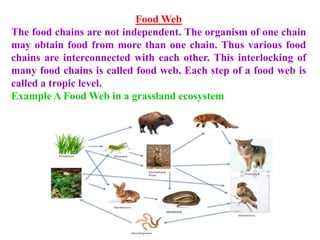 Ecology & Ecosystem | PPT