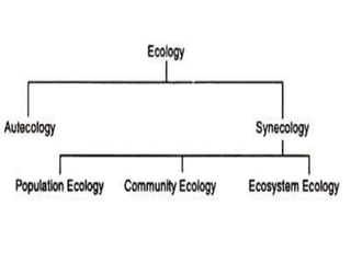 Ecology & Ecosystem | PPTX | Geography | Science