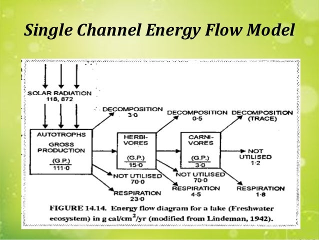 Ecology & Ecosystems