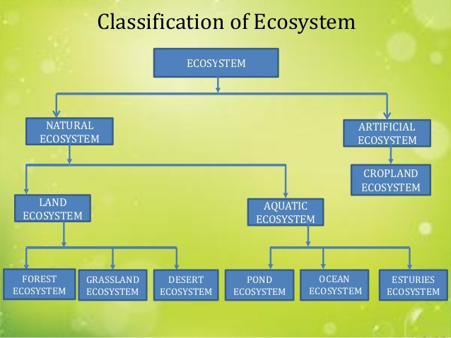 Ecology & Ecosystems
