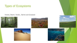 EcologyEnvironmentandEcosystems-geography-1.pptx