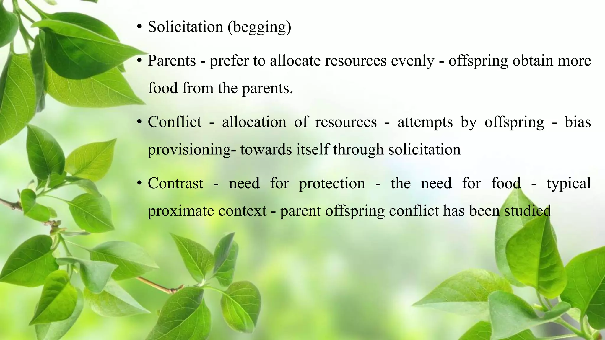 Parent offspring conflicts and sibling rivalry in insects | PPTX
