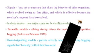 Parent offspring conflicts and sibling rivalry in insects | PPTX