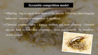 Parent offspring conflicts and sibling rivalry in insects | PPTX ...