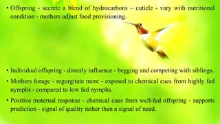 Parent offspring conflicts and sibling rivalry in insects | PPTX ...