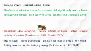 Parent offspring conflicts and sibling rivalry in insects | PPTX ...