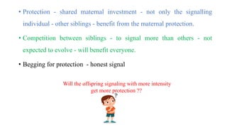 Parent offspring conflicts and sibling rivalry in insects | PPTX ...