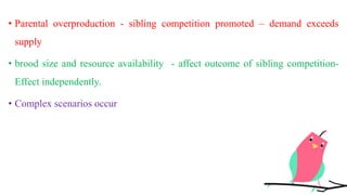 Parent offspring conflicts and sibling rivalry in insects | PPTX ...