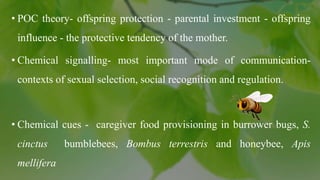 Parent offspring conflicts and sibling rivalry in insects | PPTX ...