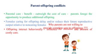 Parent offspring conflicts and sibling rivalry in insects | PPTX ...