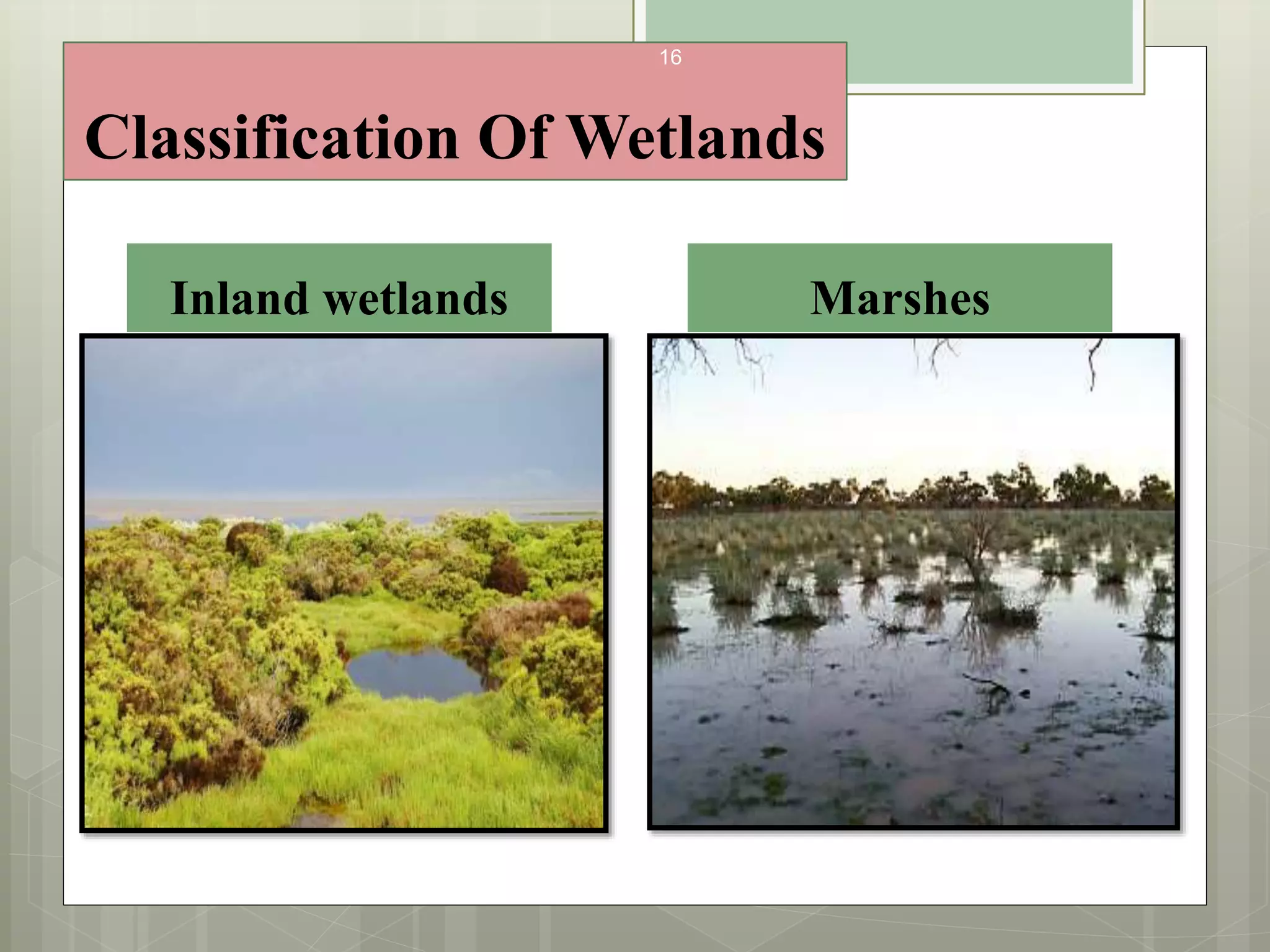 Wetlands of Pakistan, their Conservation & Management | PPTX