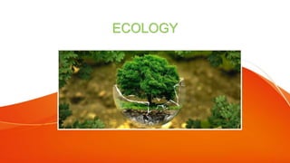 ECOLOGY FINAL PPT.pptx