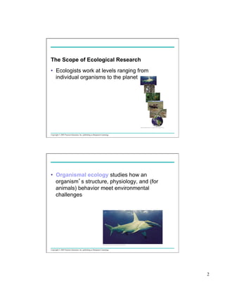 Ecology fs2013.ppt