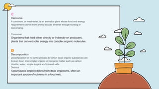 ecology for biology glossary of terms.pptx