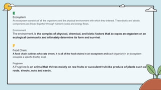 ecology for biology glossary of terms.pptx