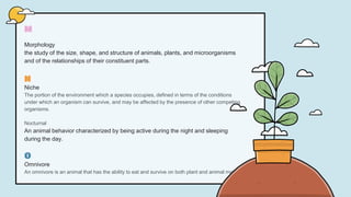 ecology for biology glossary of terms.pptx