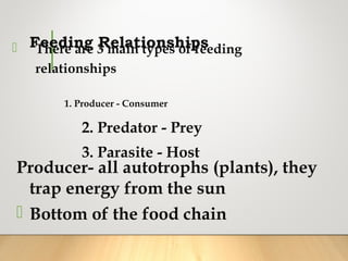 Ecology | PPT
