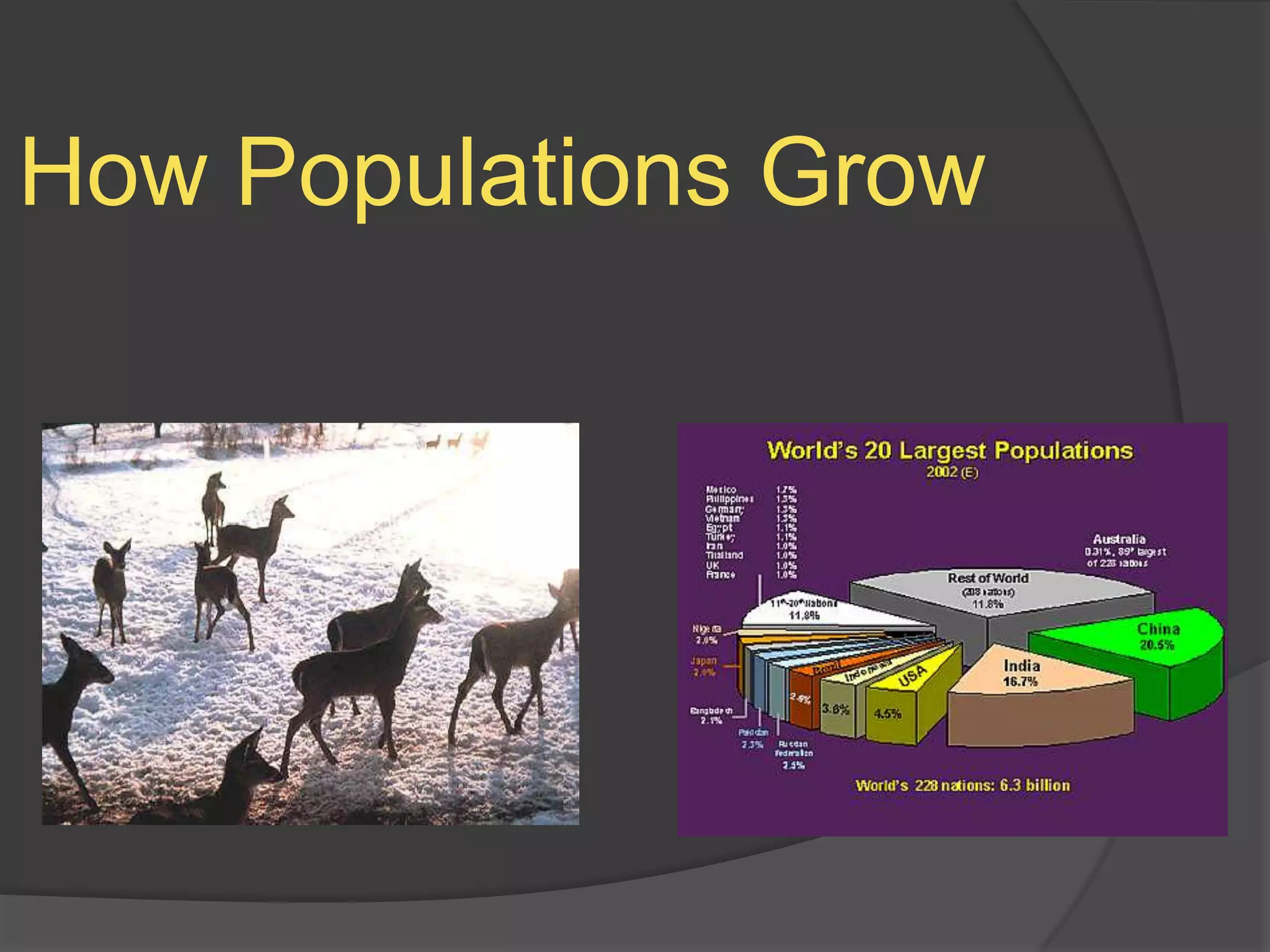 Ecology how population grow | PPT